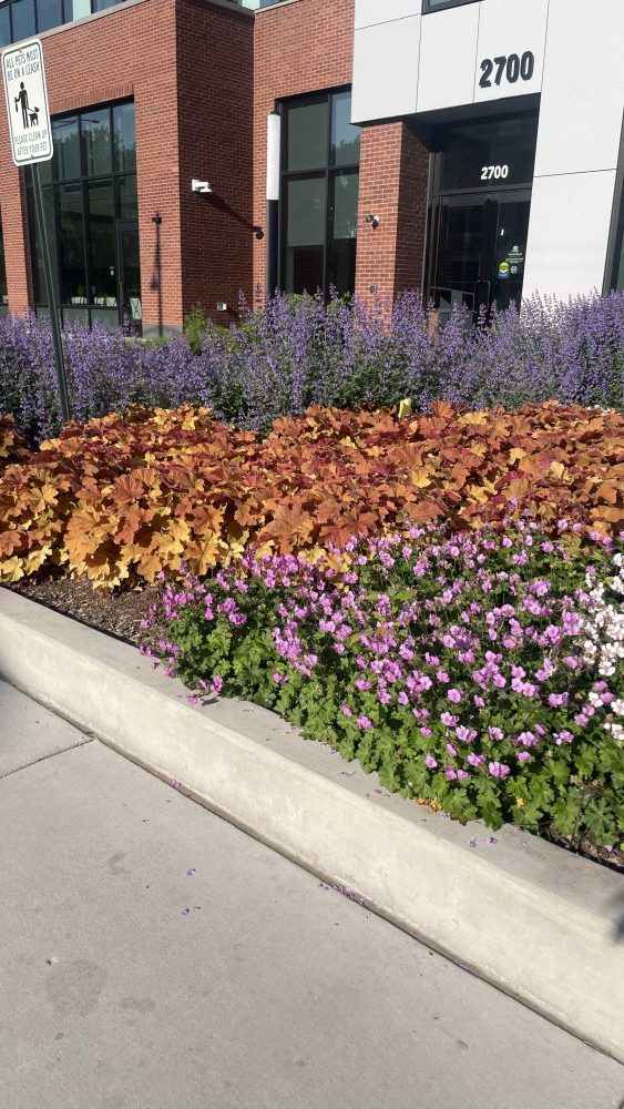 Landscape Management - Clintar of London