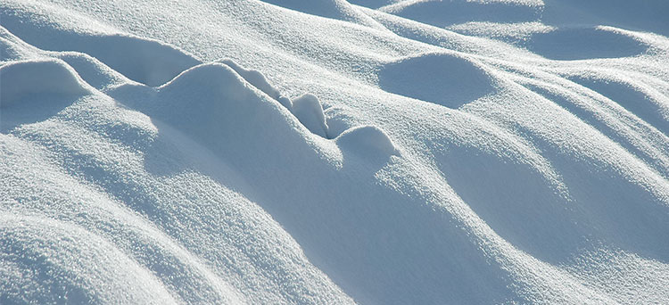 Should you remove or relocate excess snow? - Clintar